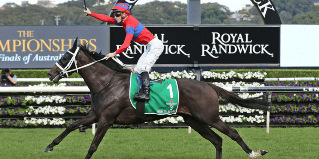 Register Interest - Australian Racing Tours