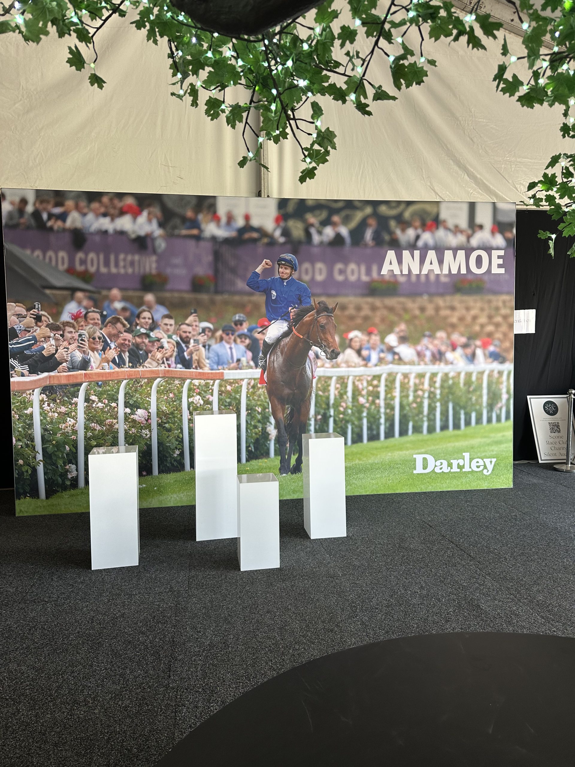 2024 SCONE CUP & HUNTER VALLEY STUDS - Breeding & Racing tour!