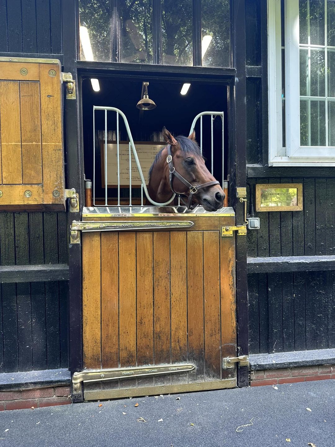 2025 ROYAL ASCOT CARNIVAL - Australian Racing Tours