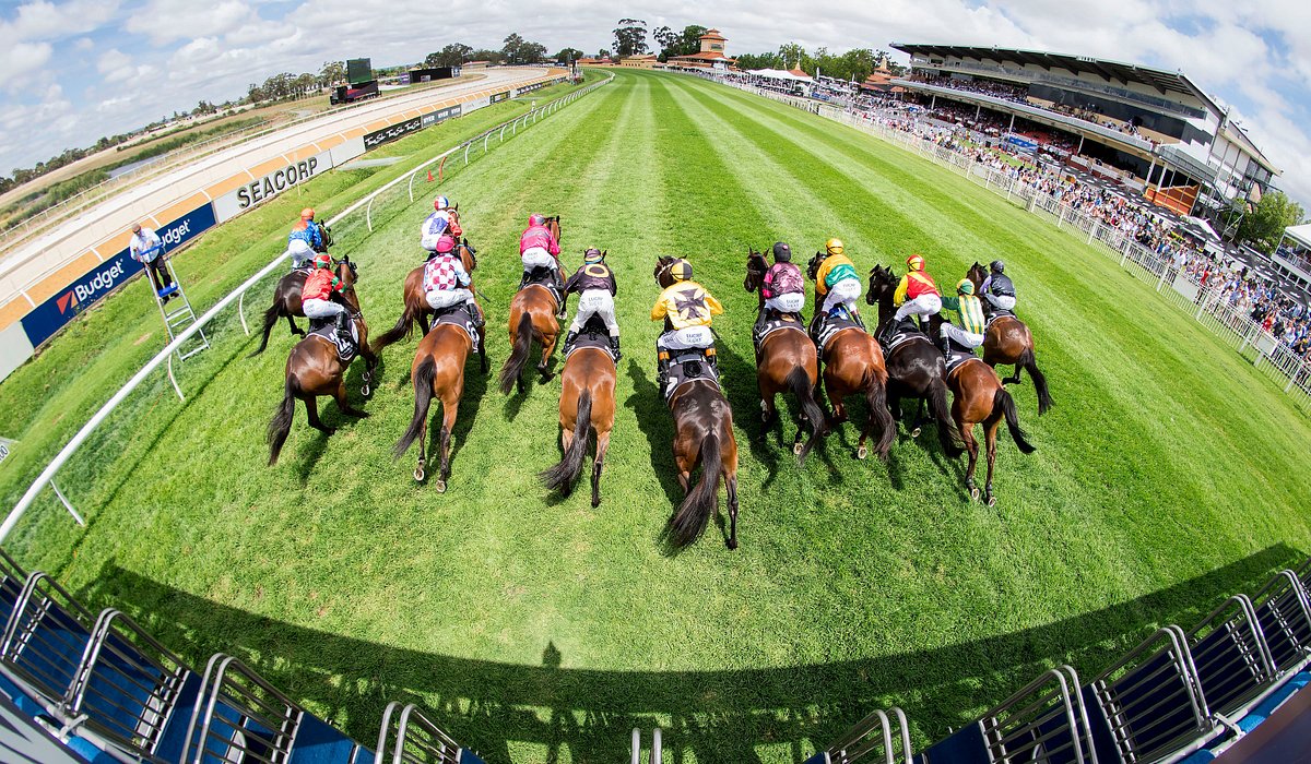 Home - Australian Racing Tours