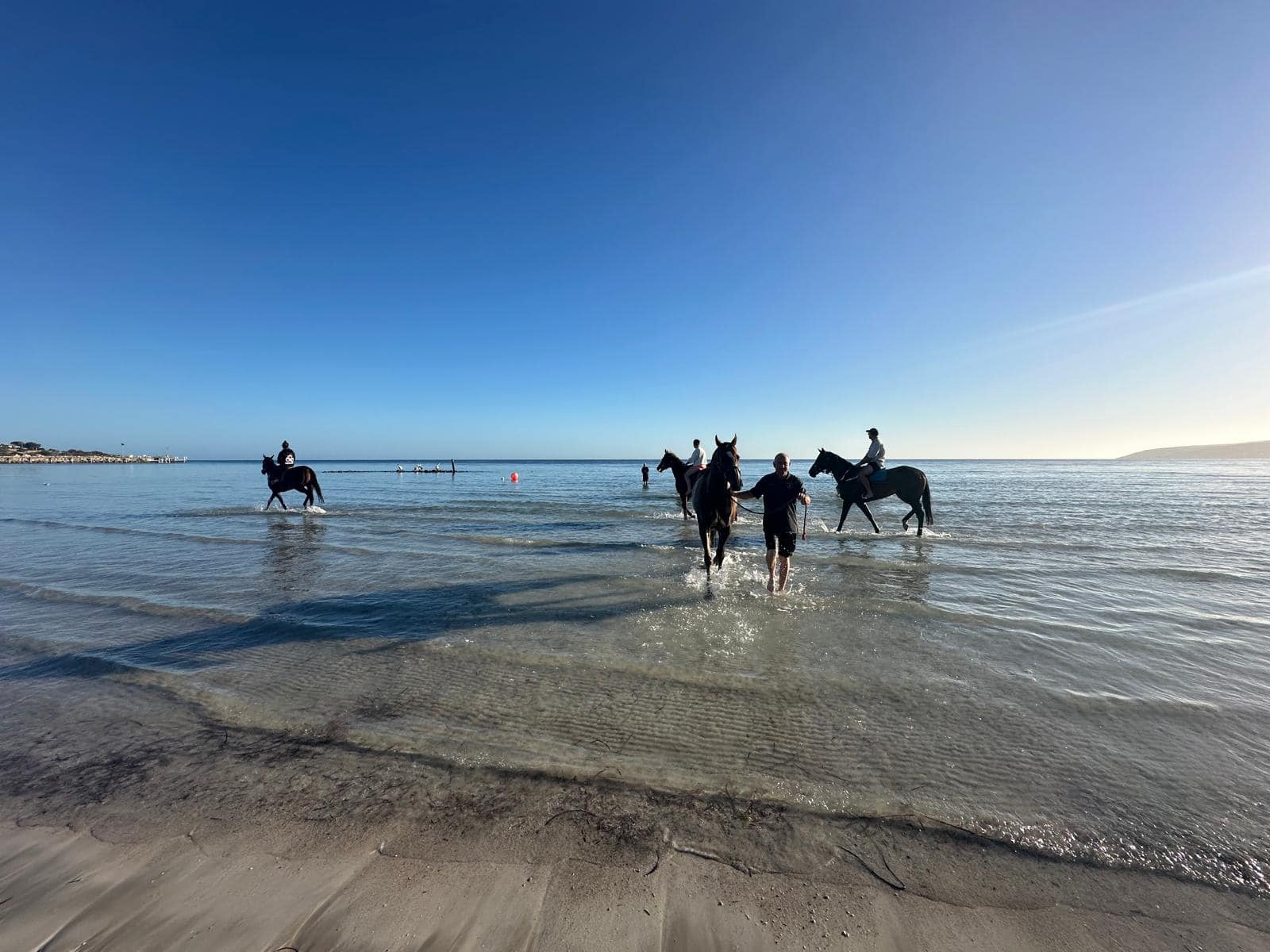 2026 KANGAROO ISLAND CUP - Australian Racing Tours