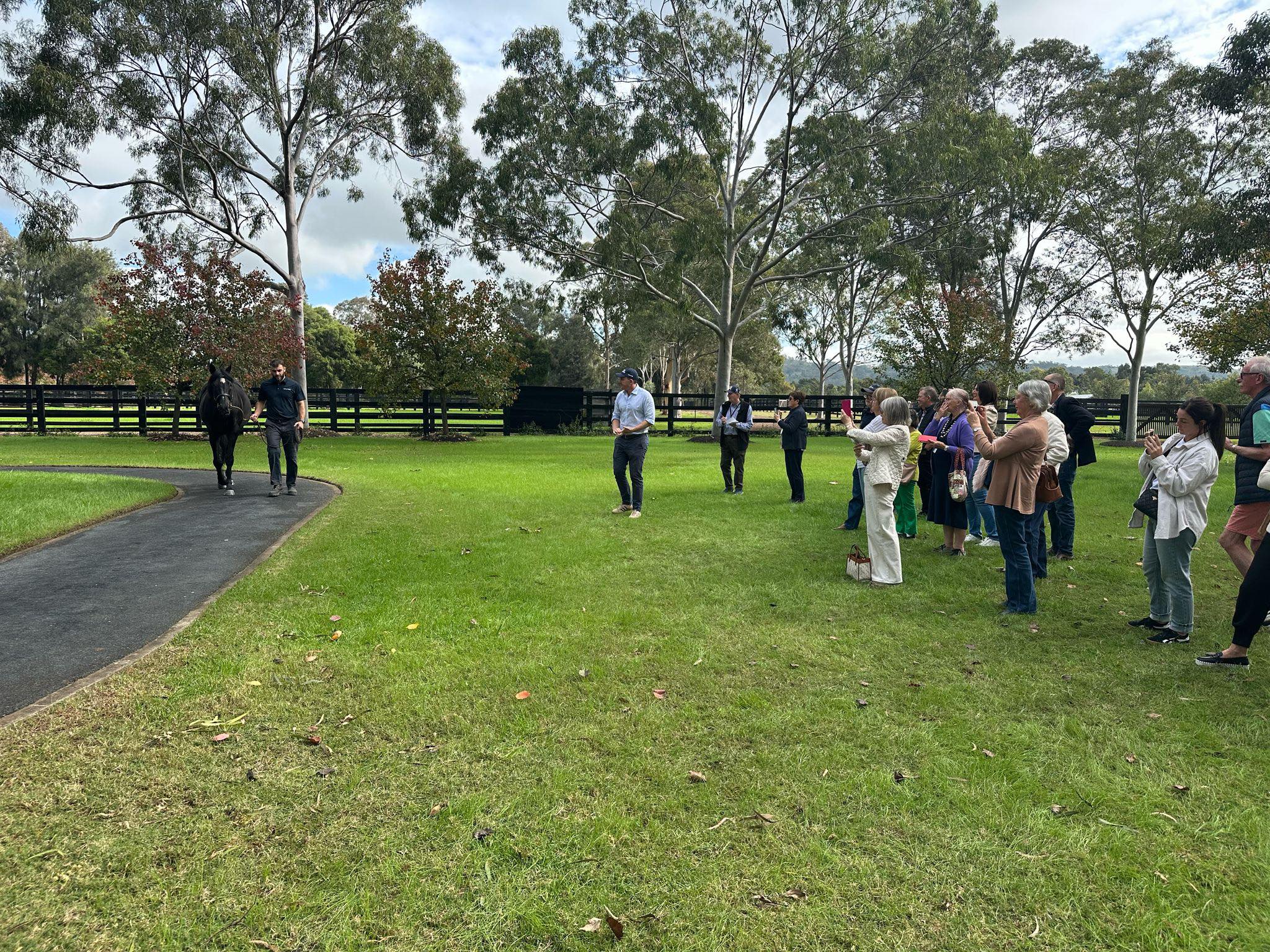 2026 SCONE CUP & HUNTER VALLEY STUDS - Breeding & Racing tour!